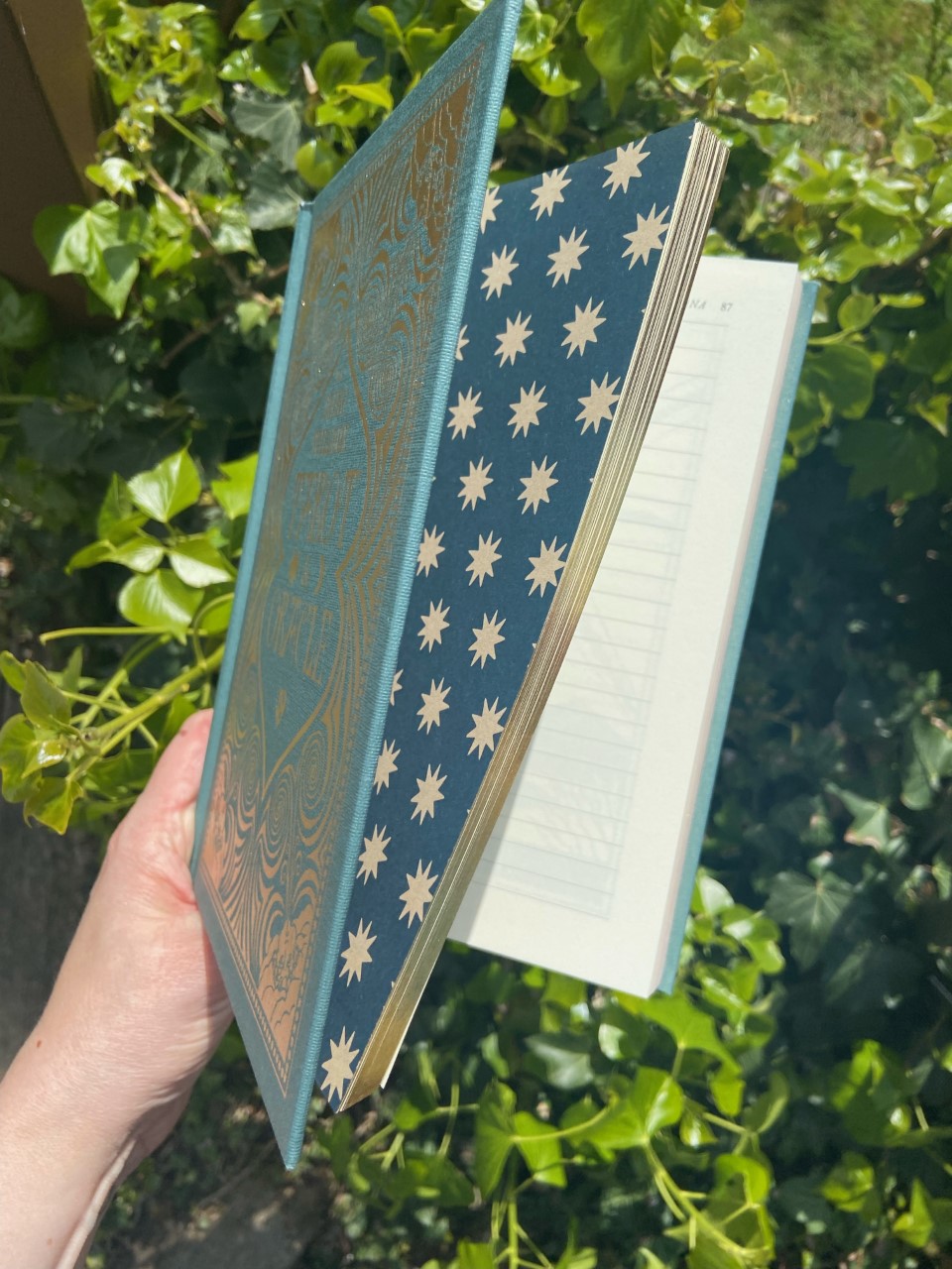Deck Review: The Mike Willcox Tarot & Oracle - Tarot Cake