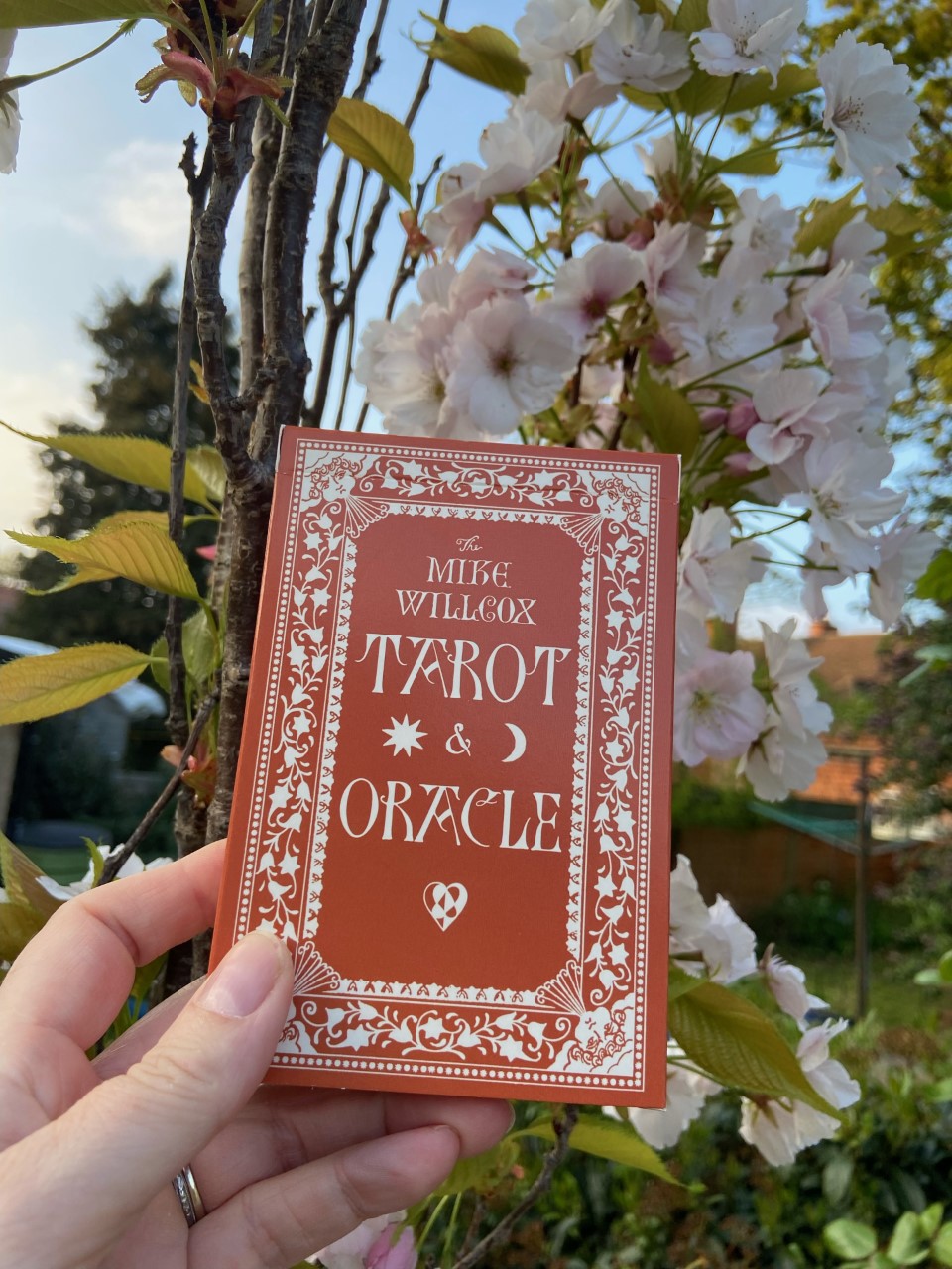 Deck Review: The Mike Willcox Tarot & Oracle - Tarot Cake