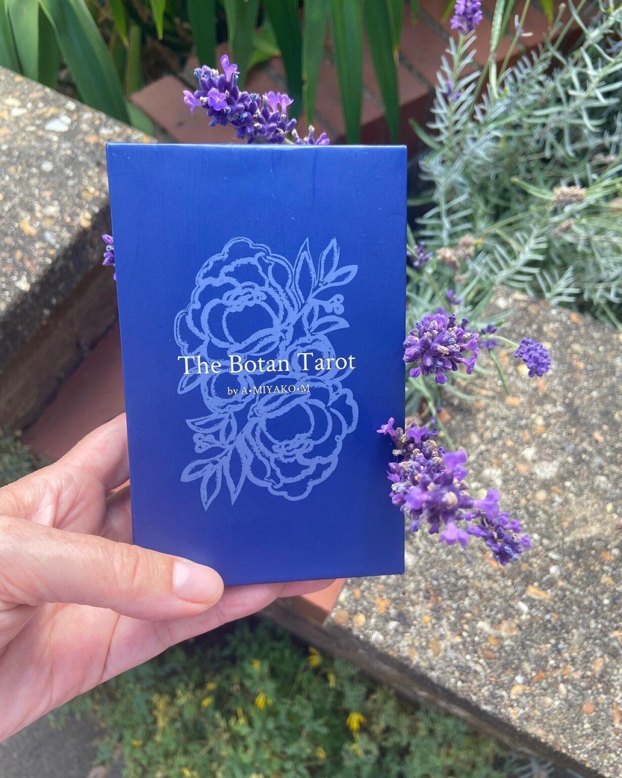 Deck Review: The Botan Tarot - Tarot Cake